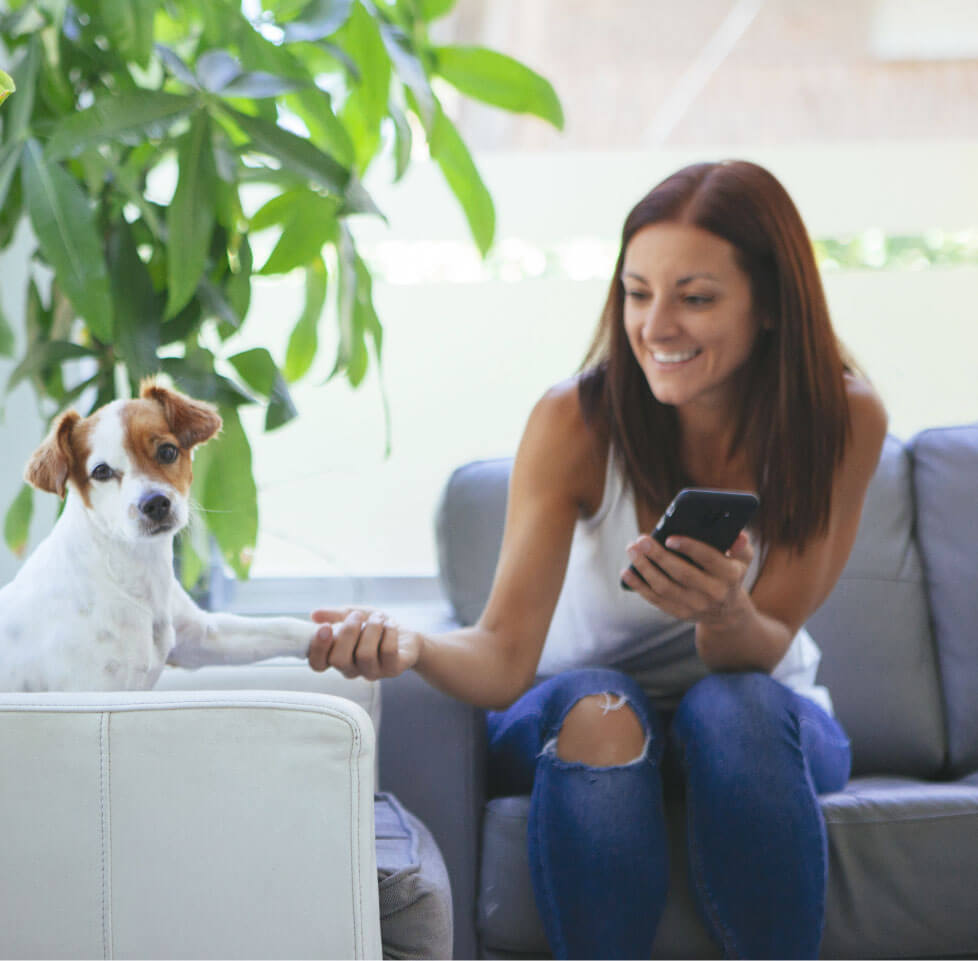 Tour - Waller Equine Hospital