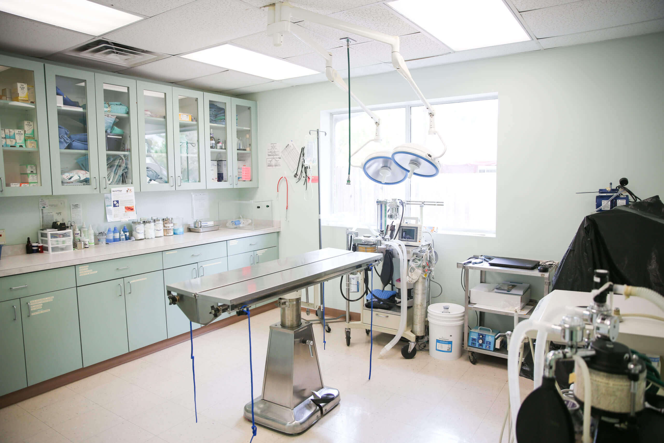 Location - Waller Equine Hospital