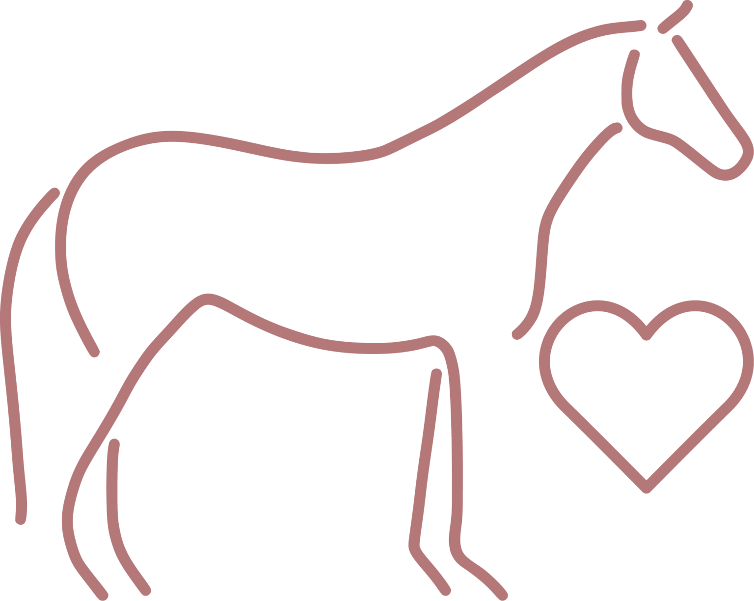 Services Archive - Waller Equine Hospital